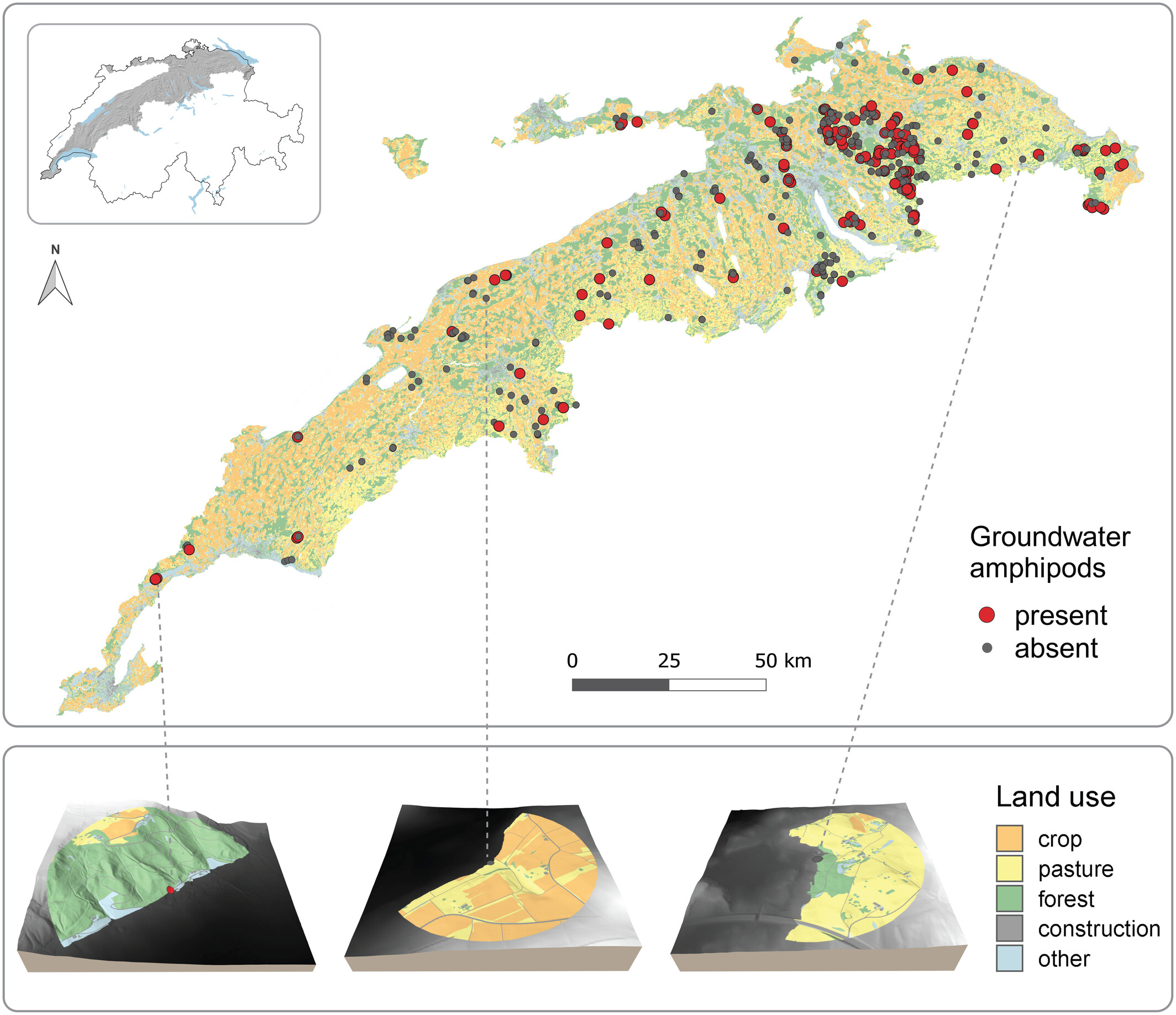 Improving methods for groundwater fauna monitoring - Roman Alther ...